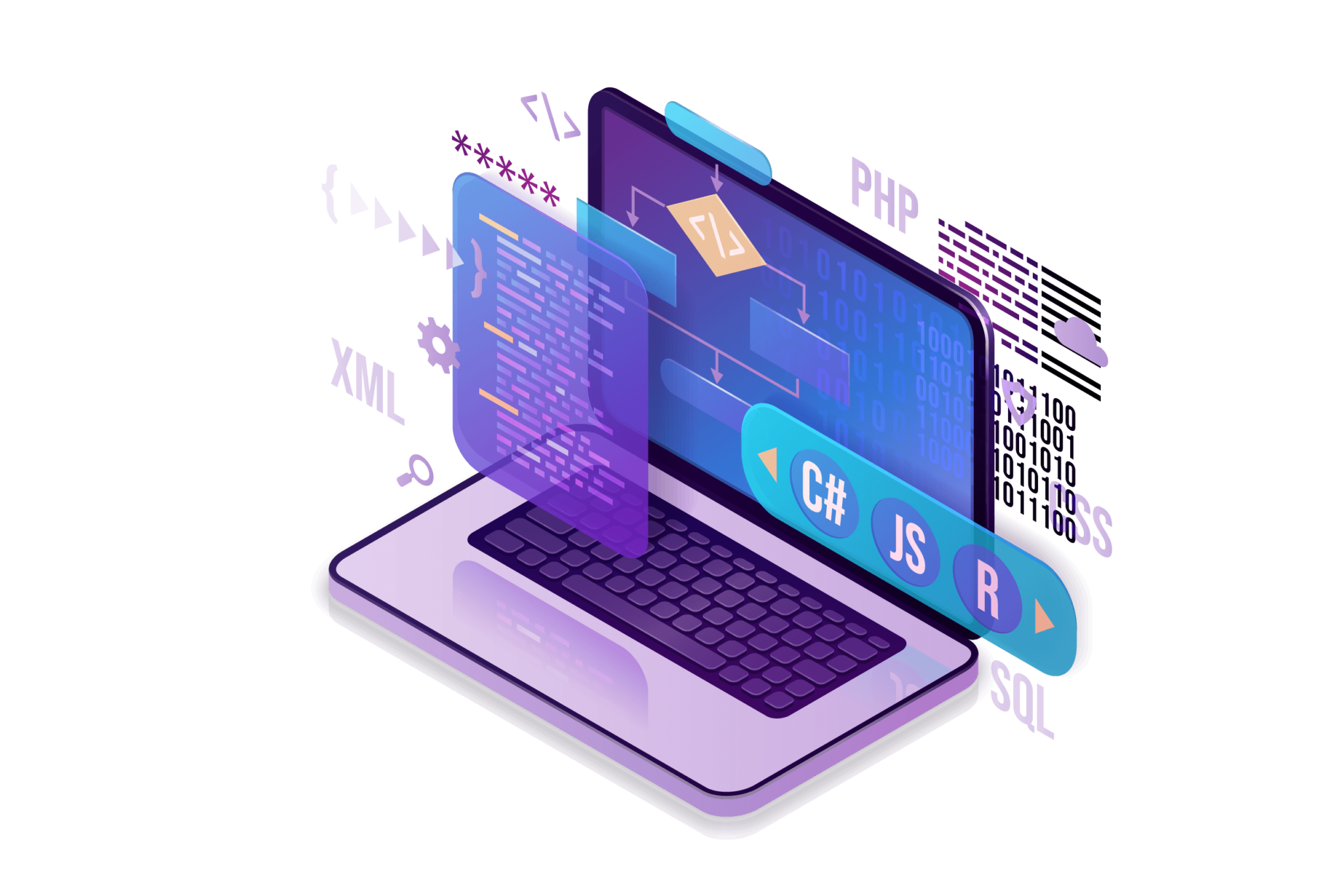 Web Design & Development – MSIT